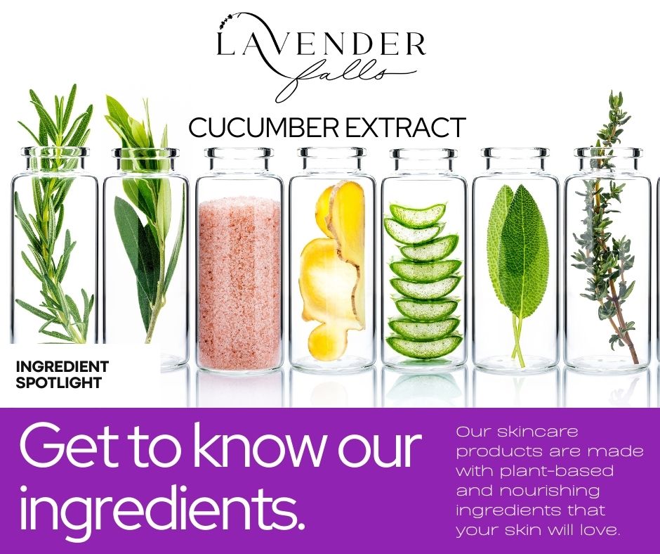 Unveiling the Secrets of Cucumber Extract in Natural Skincare ...